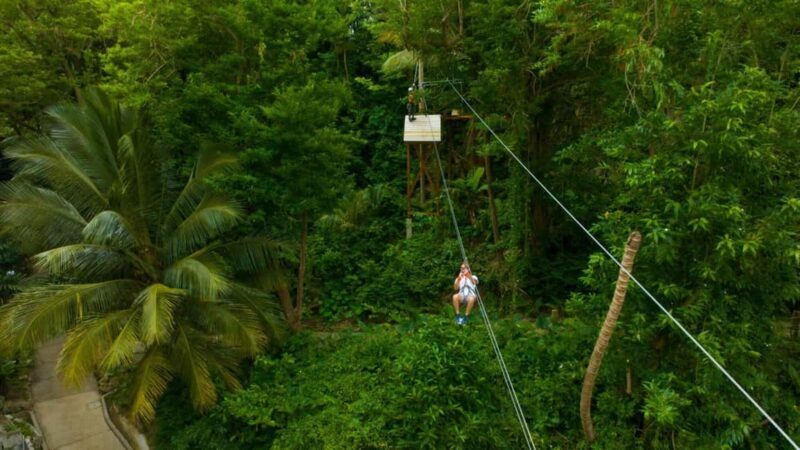Barbados: Monkey Zip & Gully Challenge Adventure