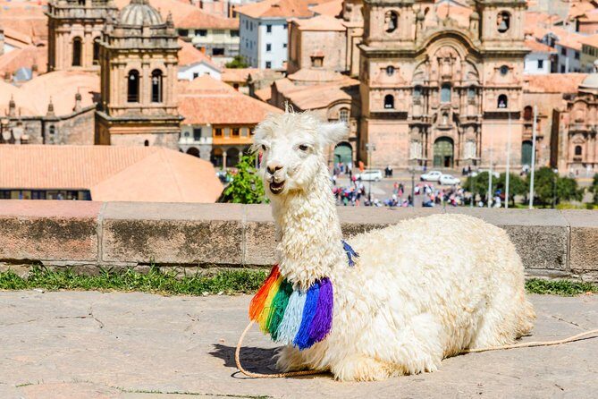 Half Day - Cusco City Essentials (Afternoon Group Tour)