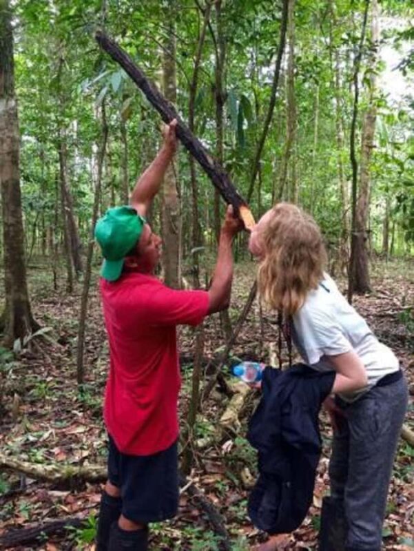 Manaus : Survival in the Amazon Jungle