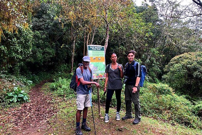 Private Guided Hiking Tour to the Blue Mountains