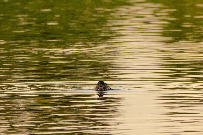 River eco-tourism on the Paraguay River