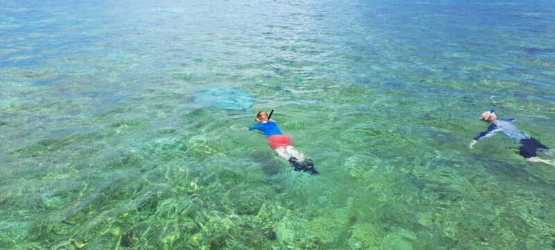 Tobago: Coral Reef Boat Tour with BBQ and Transfer