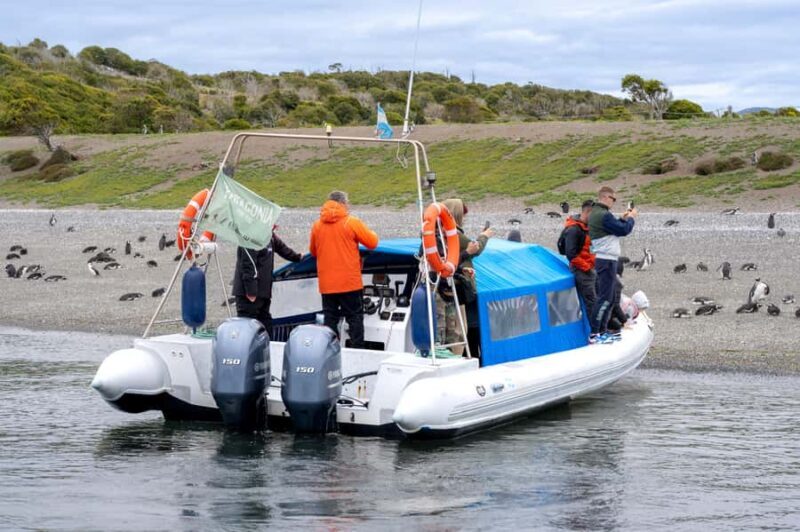 USHUAIA: ALMANZA, THE SPIDER CRAB ROUTE & PENGUIN SIGHTING