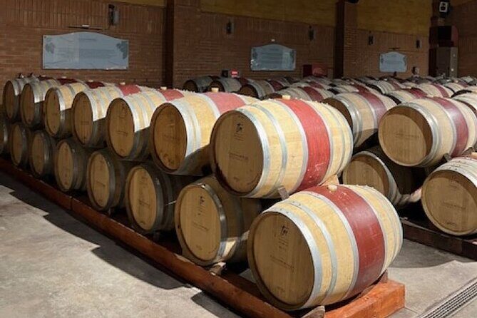 Wine Tasting Day Tour to Vineyard Casas del Bosque in Casablanca